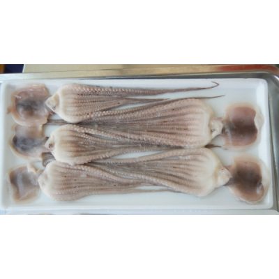 Whole Poulp Squid » SEAFARM