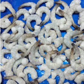 Raw PDTO Vannamei Shrimp » SEAFARM